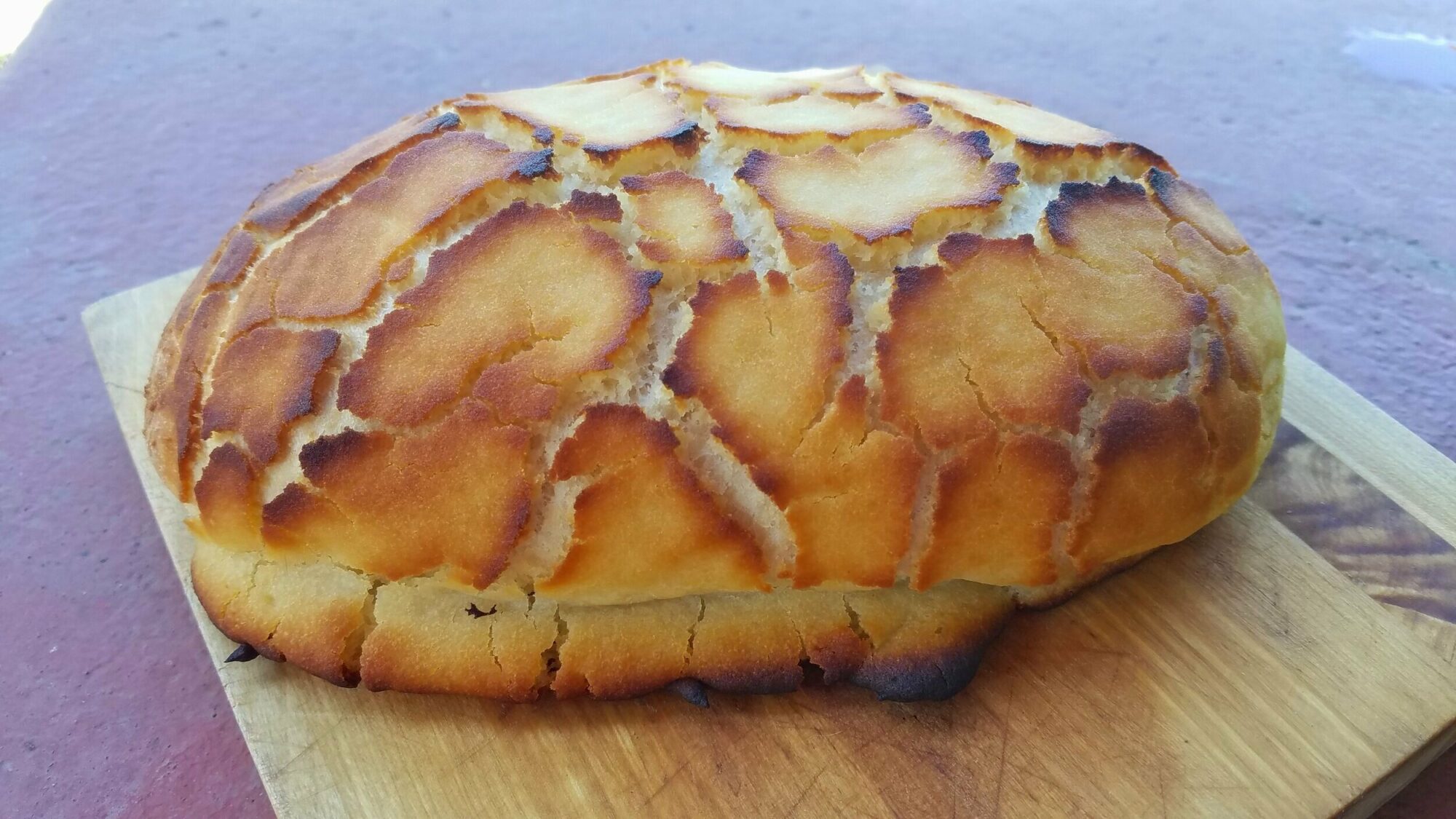 Dutch Crunch - Daniel David Shapiro